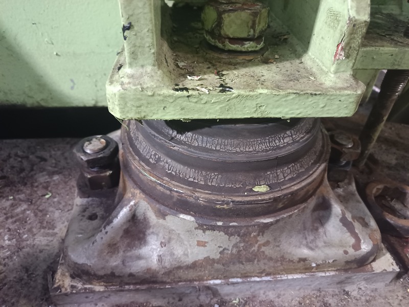 References IMG_20250807_182108.jpg IMG_20250807_182111.jpg IMG_20250807 ...