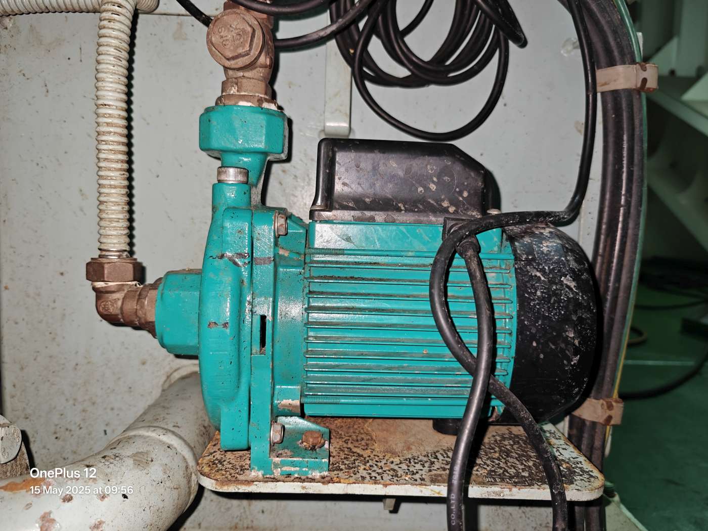files circulation pump pdf